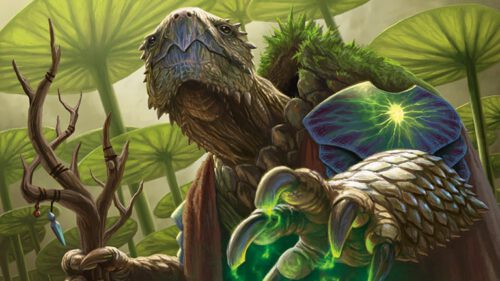 Tortle 5e | Race Guides for Dungeons & Dragons 5th Edition | Arcane Eye