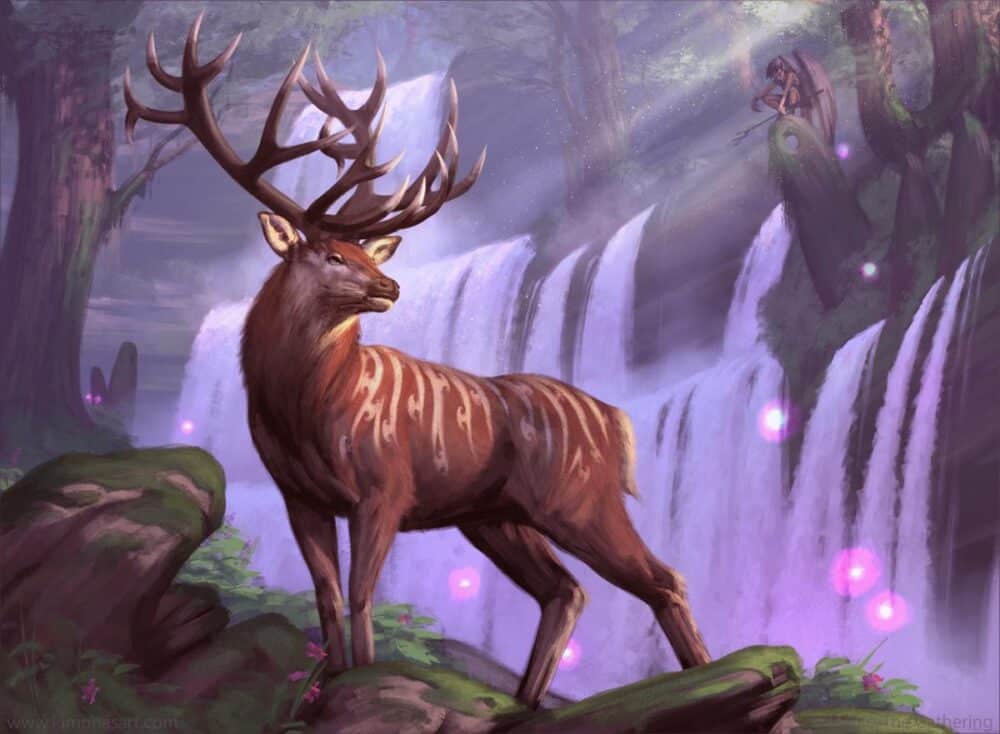 Wild Shape 5e | Arcane Eye